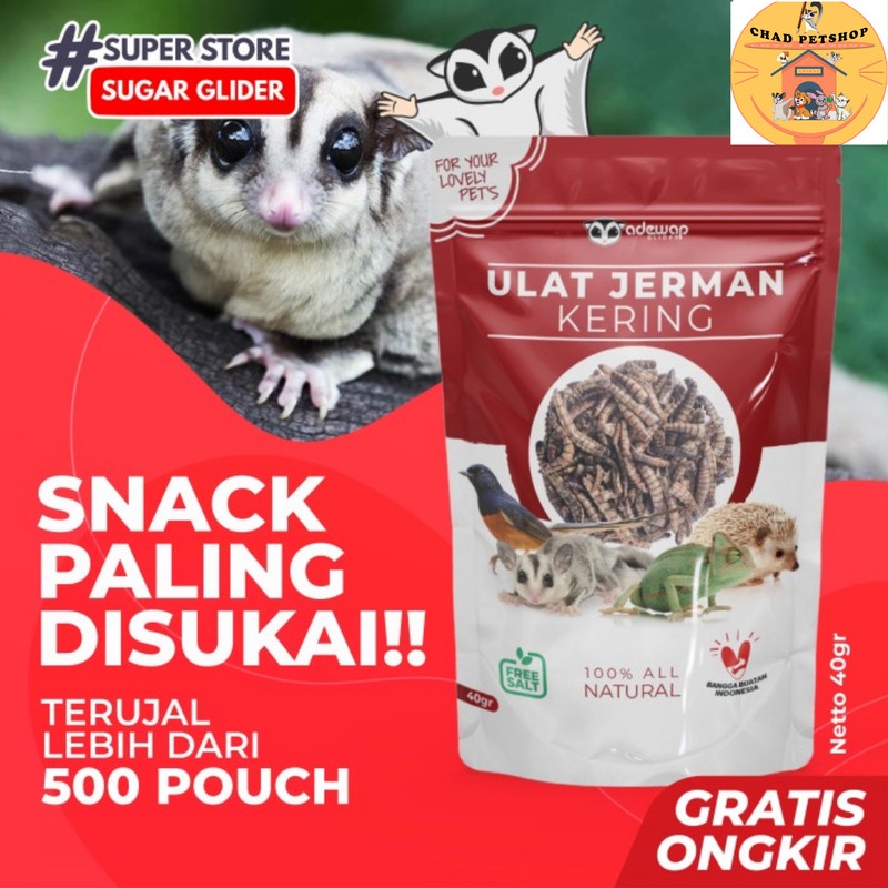 Jual Ulat Jerman Kering Super Mealworm Makanan Sugar Glider Hamster ...