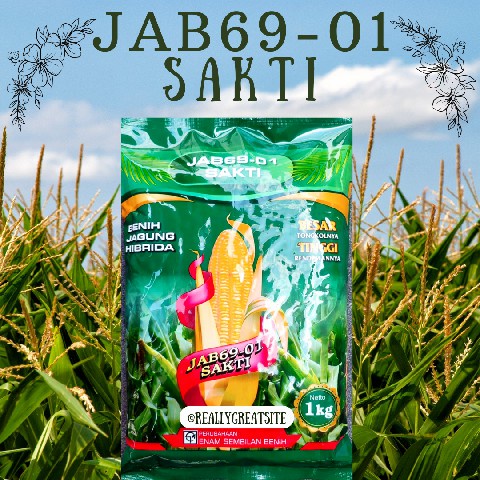 Jual Benih jagung jab69-01 sakti hibrida kemasan 1 kg | Shopee Indonesia