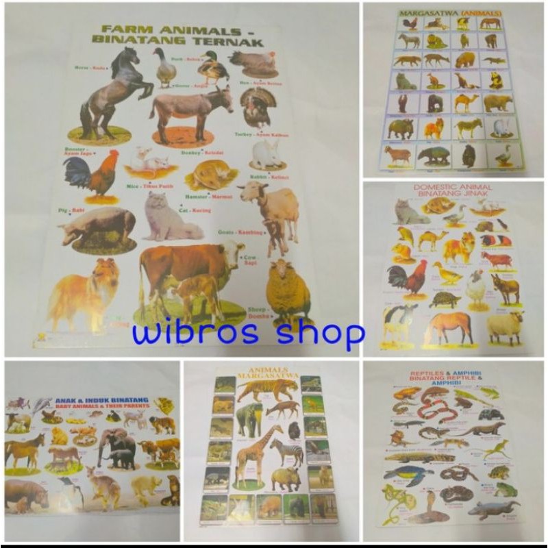 Jual Poster Binatang Ternak/Margasatwa/Reptile/Induk Dan Anak | Shopee ...