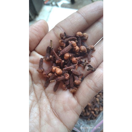Jual (Rempah Seribuan) Bunga Cengkeh Kering / Cengkeh Utuh/ Dried ...