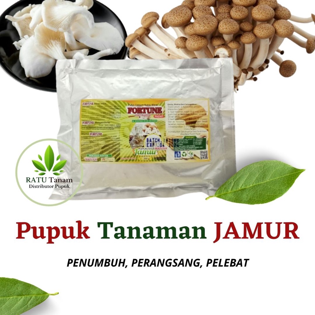 Jual Pupuk CALSIUM Anti Jamur Budidaya Tanaman Jamur, Pupuk Buat Jamur ...