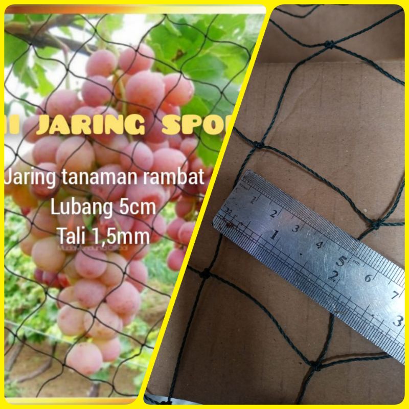 Jual Jaring tanaman rambat lubang 5cm, 1mx3m, 1mx5m, 2mx3m, 2mx5m ...