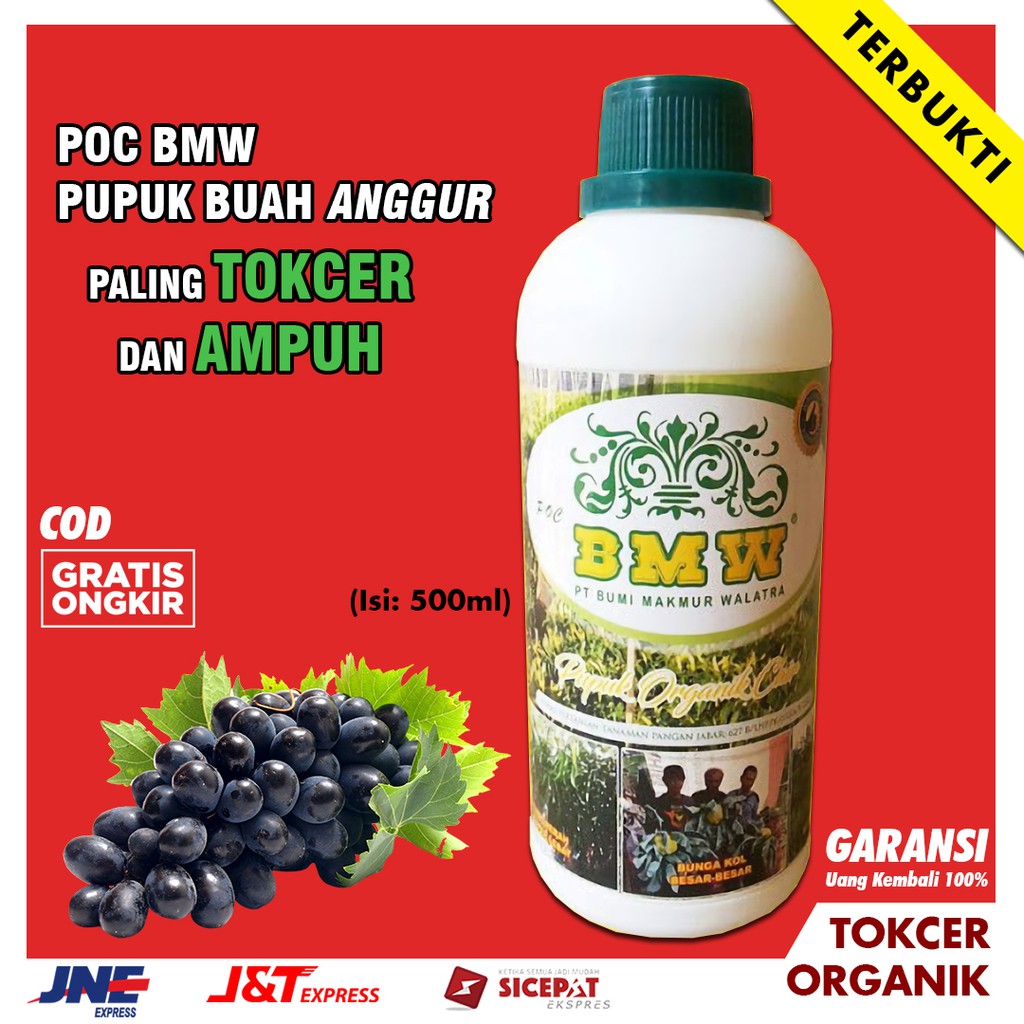Jual Pupuk Organik Cair Tanaman Perangsang Buah Anggur POC BMW Indonesia|Shopee Indonesia