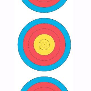 Official WORLD ARCHERY Target Face Indoors - 40cm 5Ring Vertical ...