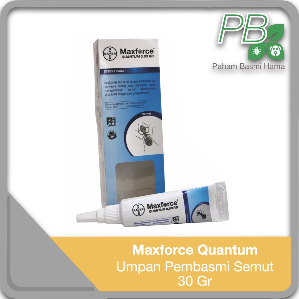 Jual Maxforce Quantum - Umpan Pembasmi Semut Professional - Sampai Sarang - 30 Gr | Shopee Indonesia