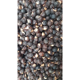Jual BUAH LERAK ASLI DAN ORIGINAL Indonesia|Shopee Indonesia