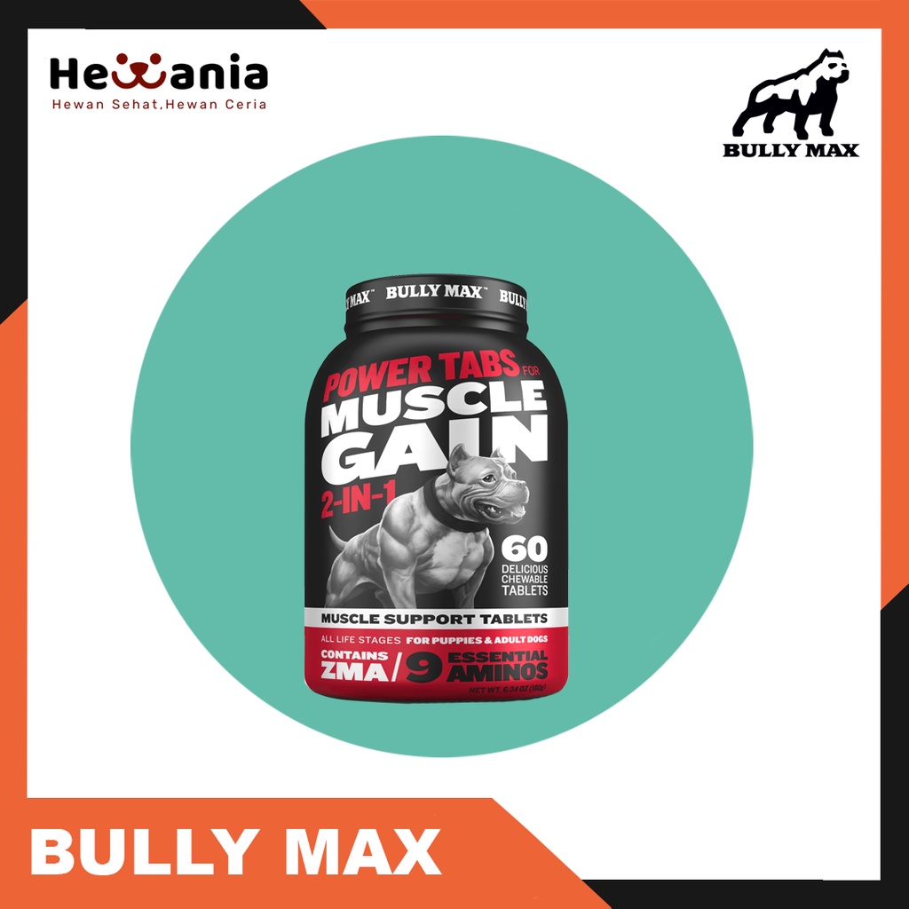 Jual Suplemen Vitamin Anjing - Pembentuk Otot - Bully Max | Shopee ...