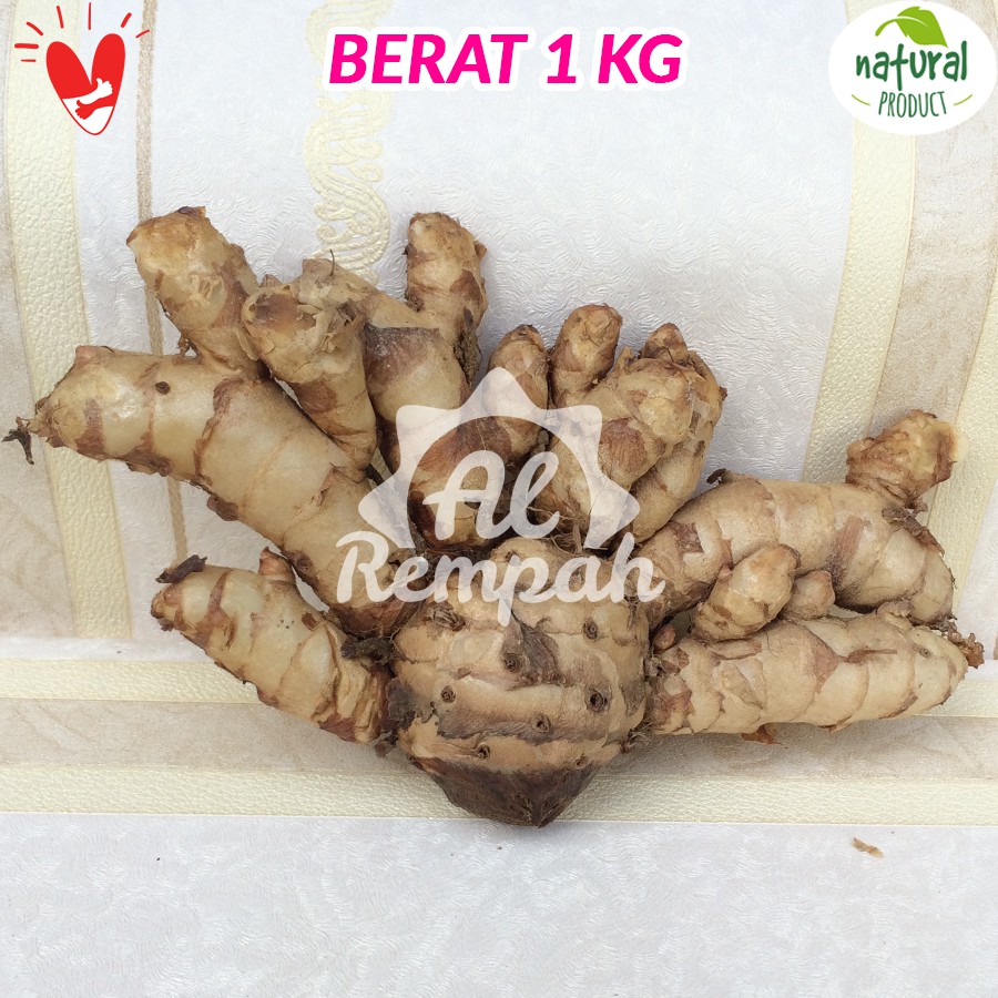 Jual Temu Ireng - Temu Hitam Segar 1 kg - Gunung Kidul | Shopee Indonesia