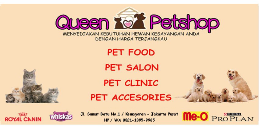 Toko Online Queen petshop | Shopee Indonesia