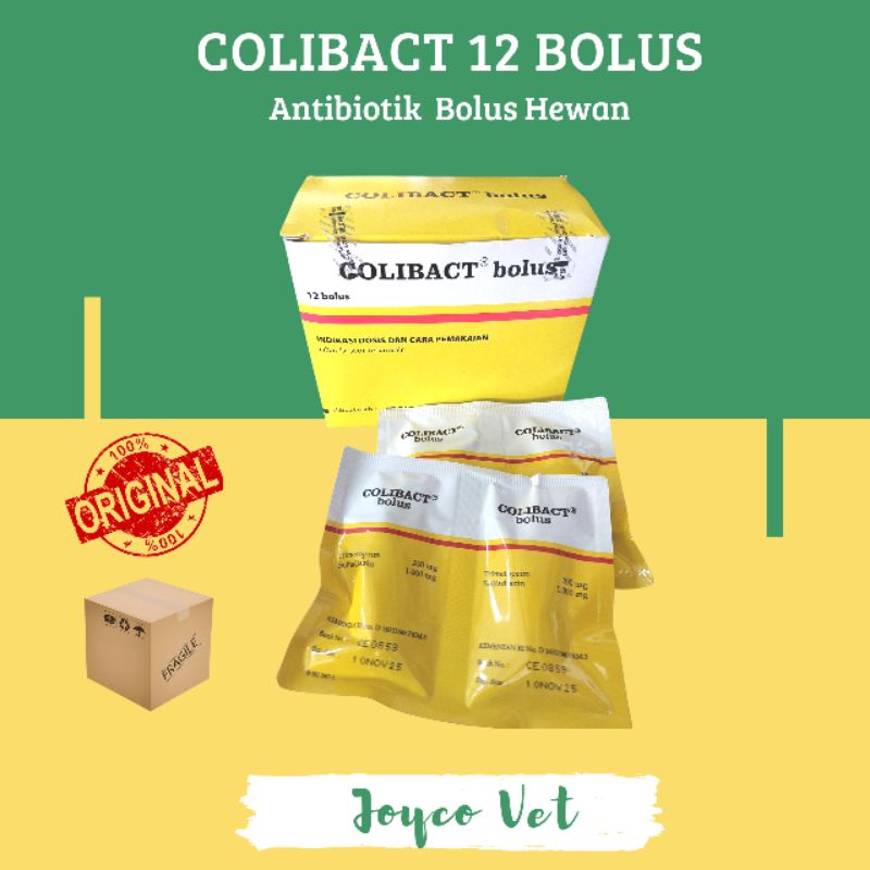 Jual Colibact 12 Bolus Sanbe (sulfadiazine - trimethoprim) Anti Bakteri ...