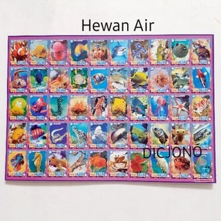 Jual Poster Edukasi Macam2 Hewan / Mainan Gambaran 50 Jenis Binatang ...
