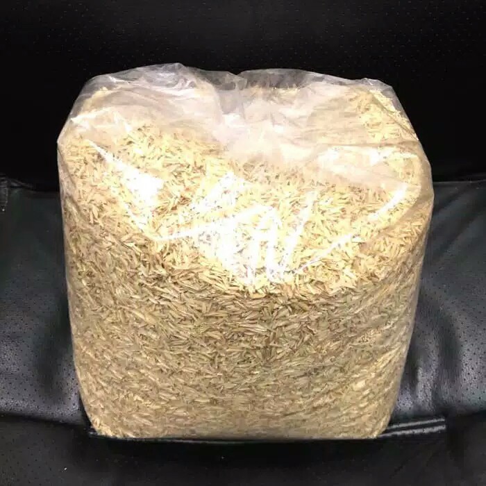 Jual sekam padi 1kg kulit gabah padi media tanam alas hewan biar hangat ...