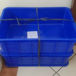 Jual box reptile box magot box plastik serbaguna container industri ...