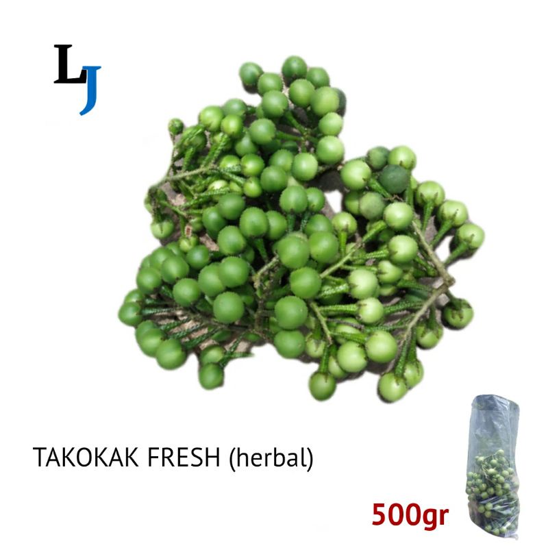 Jual COD Sayur Cepokak Takokak Herbal Fresh 500gr | Shopee Indonesia