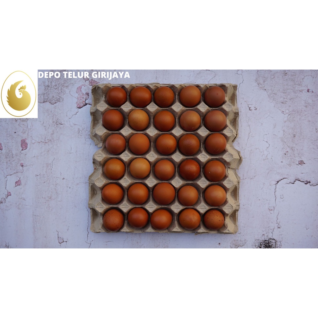 Jual TELUR AYAM NEGERI FRESH TERNAK SENDIRI ISI 30 PCS | Shopee Indonesia