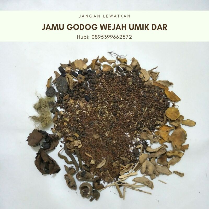 Jual Jamu Godog/ Rebus/ Herbal Tanaman Kering Wejah Pelancar ASI (Air ...