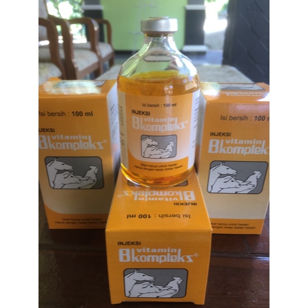 Jual Injeksi Vitamin B Kompleks 100ml | Shopee Indonesia