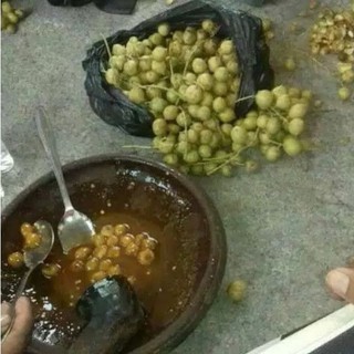 Jual Buah kosambih / kesambi / kecacil asam manis segar 1kg | Shopee ...