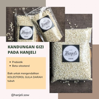 Jual Hanjeli SOW (1kg) Jali jali aceh lokal / hanjeli lokal / biji jali ...