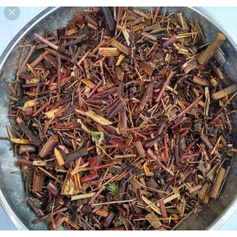 Jual MEDIA TANAMAN PAKIS ANDAM | Shopee Indonesia