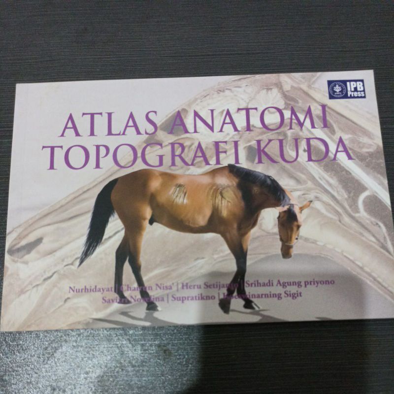 Jual Atlas Anatomi Topografi Kuda | Shopee Indonesia