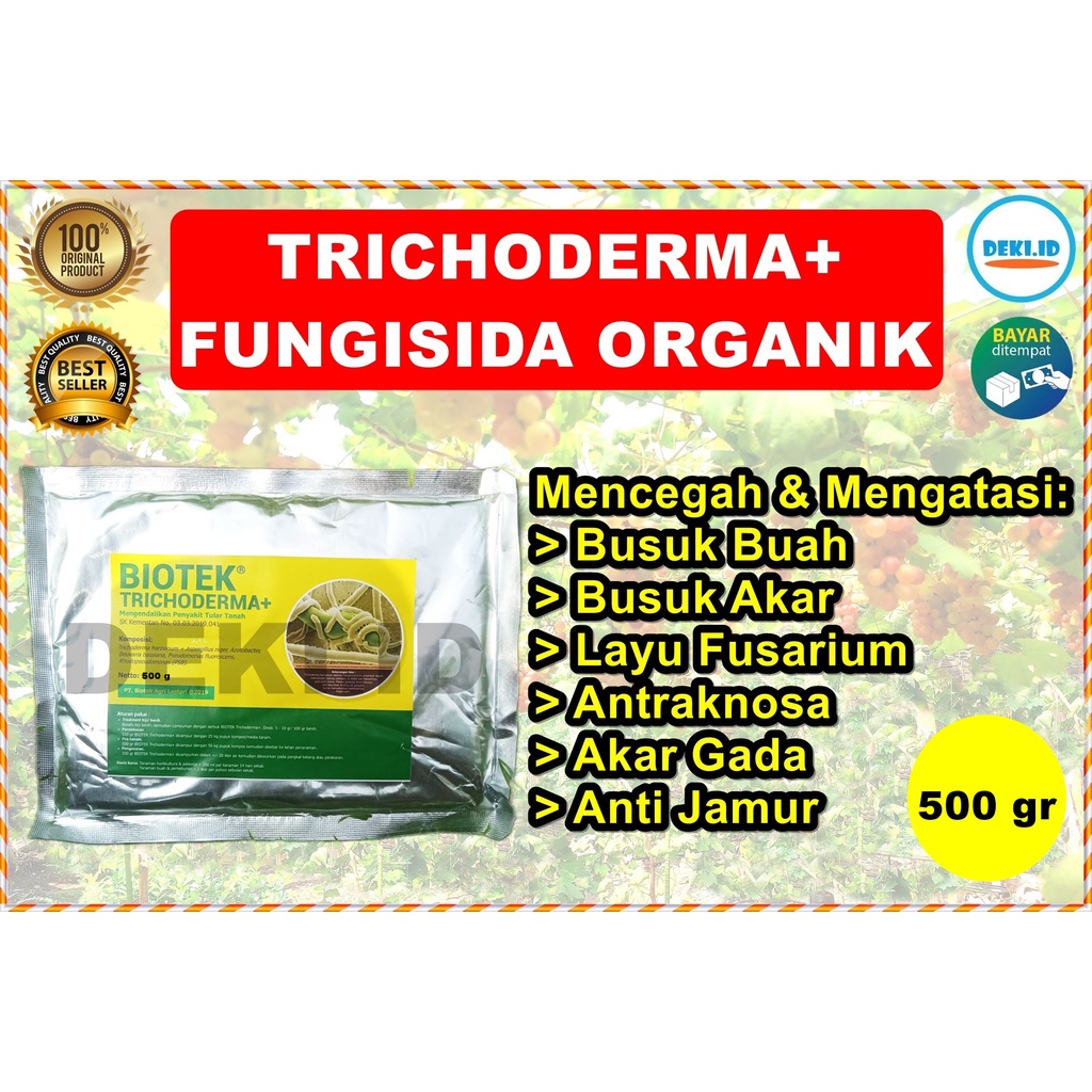 Jual Trichoderma Biotek 500 Gram Bio Fungisida Organik Tricoderma Pupuk ...