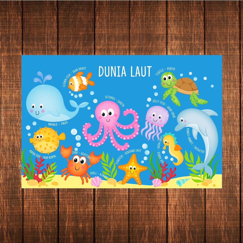 Jual Poster Edukasi/Poster Binatang Laut/Poster Dunia Laut | Shopee ...