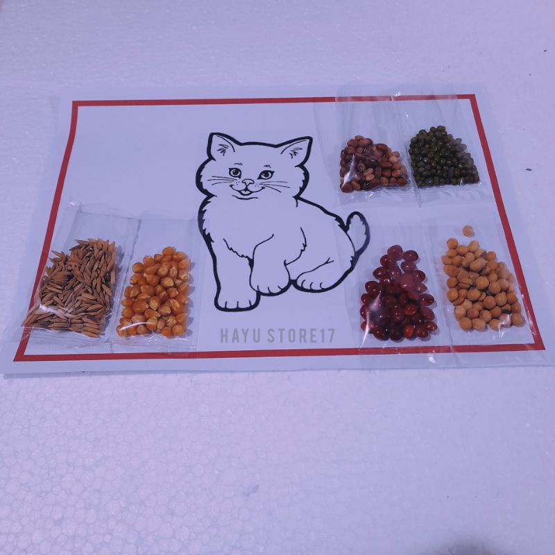 Jual Biji Bijian Untuk Membuat Kolase Bahan Untuk Membuat Kolase