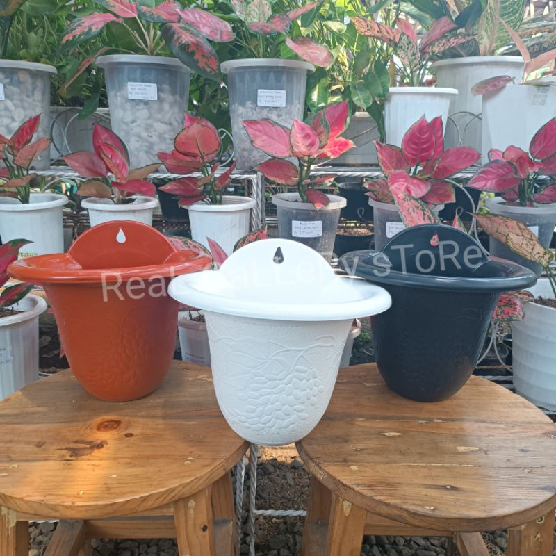 Jual Pot Dinding Anggur | Shopee Indonesia