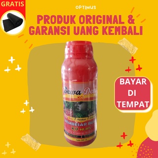 Jual Pupuk Nutrisi Cair Tanaman Sayuran Pembesar Buah KCL Dewa Dewi 500 ...