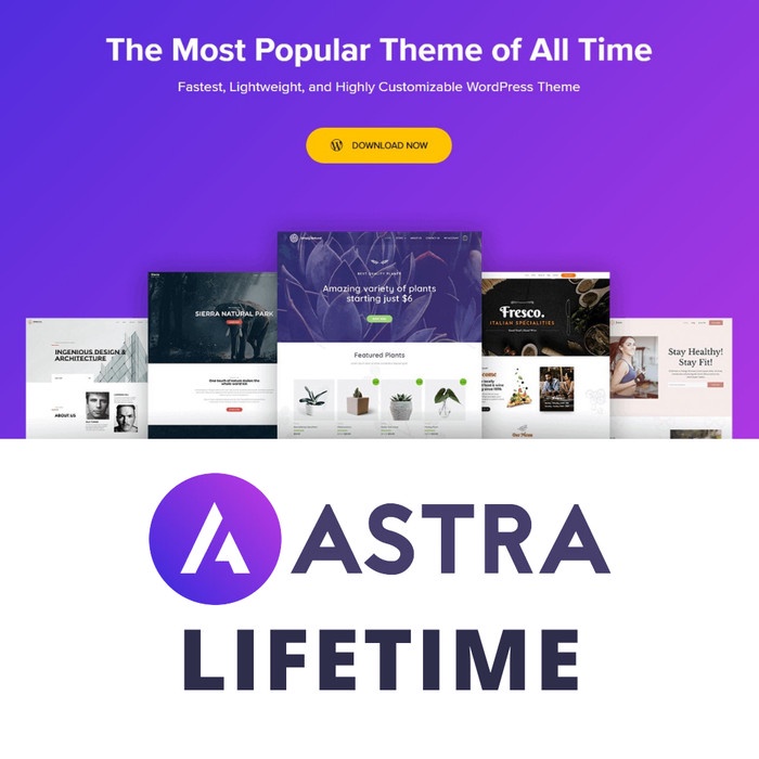 Jual Astra Premium Theme - Astra Pro Growth Bundle - Lisensi Original ... Jual Astra Premium Theme - Astra Pro Growth Bundle - Lisensi Original ...