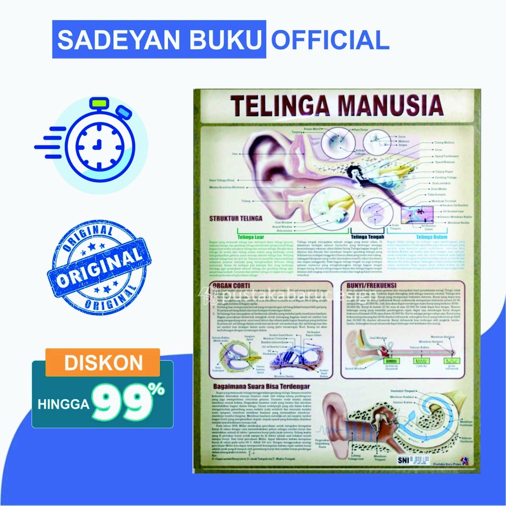 Jual Wallpaper Telinga Terlengkap & Harga Terbaru Maret 2023 | Shopee ...