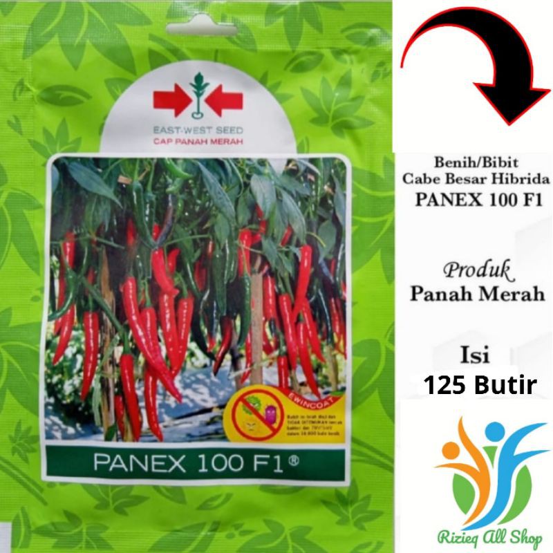 Jual Benih Cabai Merah Besar PANEX 100 F1 isi 125 Butir Bibit Cabe ...