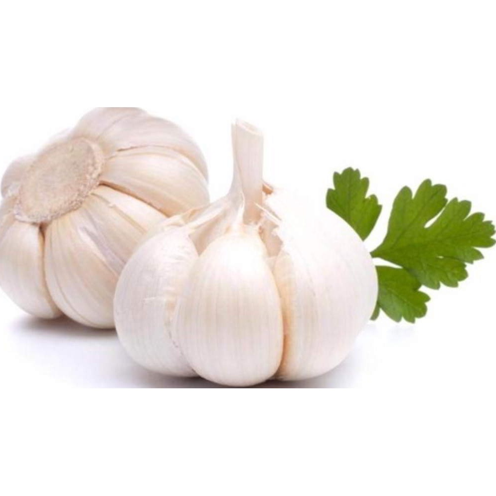 Jual Bawang Putih Kating Sinco FRESH 1Kg | Shopee Indonesia