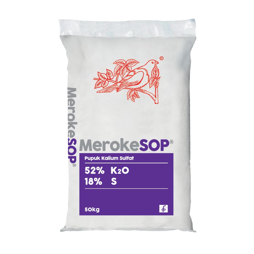 Meroke SOP 1 kg - Pupuk Kalium Sulfat Hidroponik Grade | Shopee Indonesia