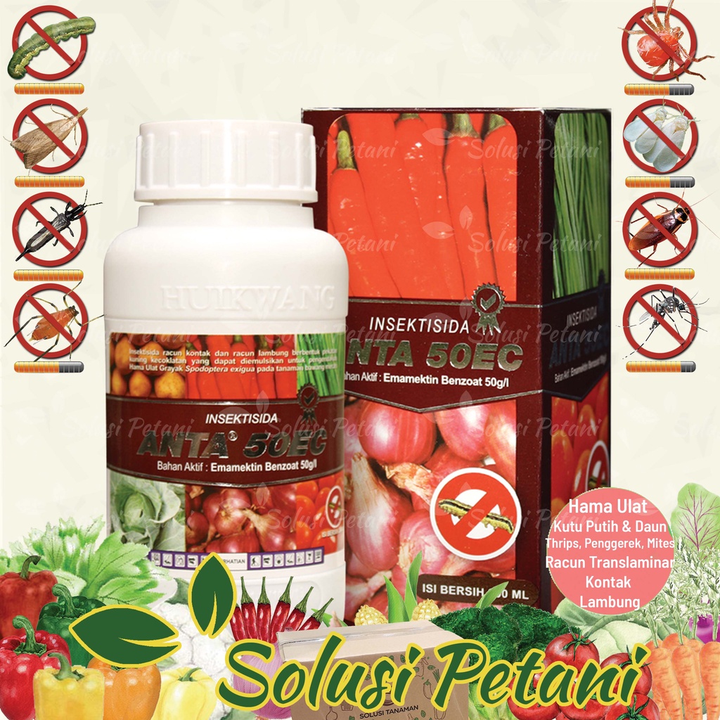 Jual Obat Hama Anta 200ml Pembasmi Hama Wabah Ulat, Penggerek Batang ...