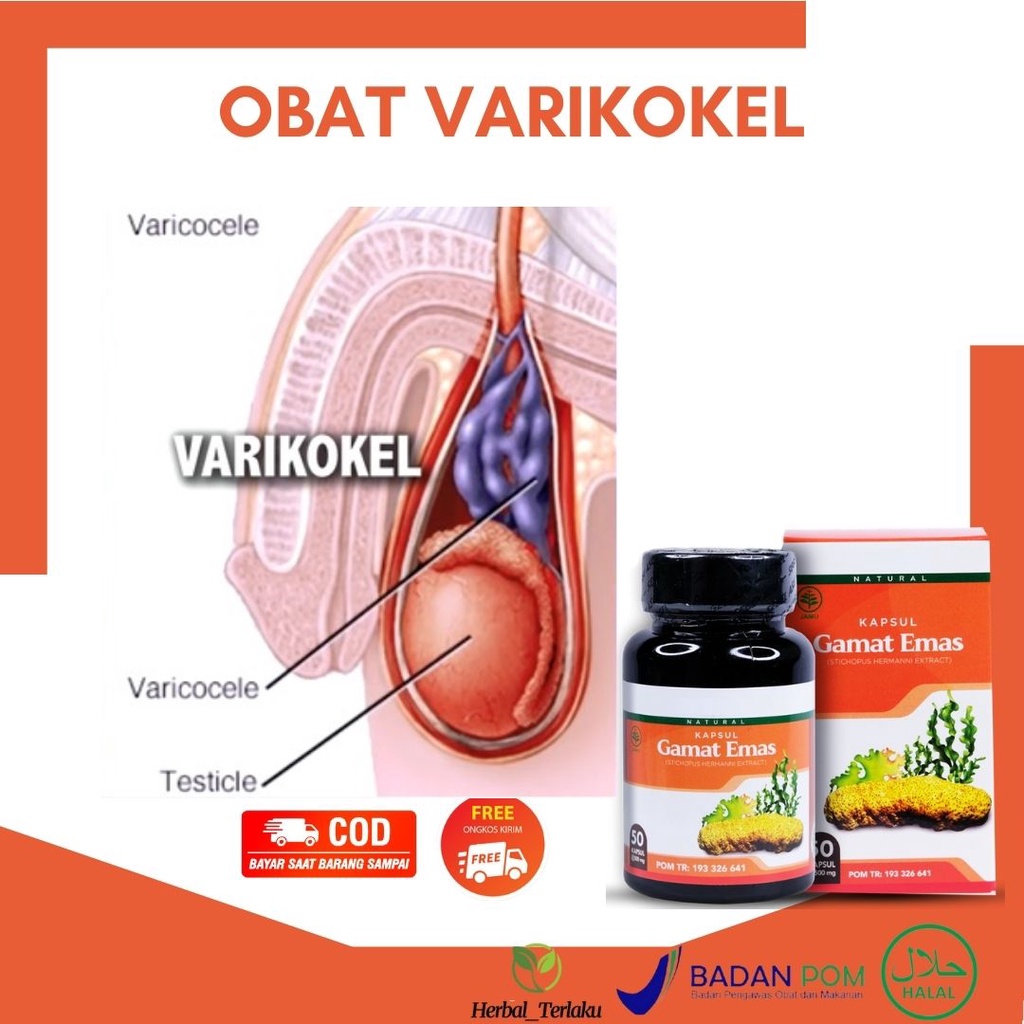 Jual Obat Varikokel Herbal , Benjolan Pada Testis , Buah Zakar Bengkak ... Jual Obat Varikokel Herbal , Benjolan Pada Testis , Buah Zakar Bengkak ...