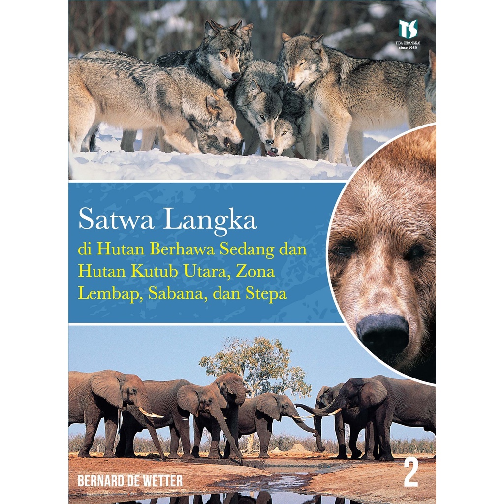 Jual Satwa Langka di Hutan Berhawa Sedang dan Hutan Kutub Utara, Zona ...