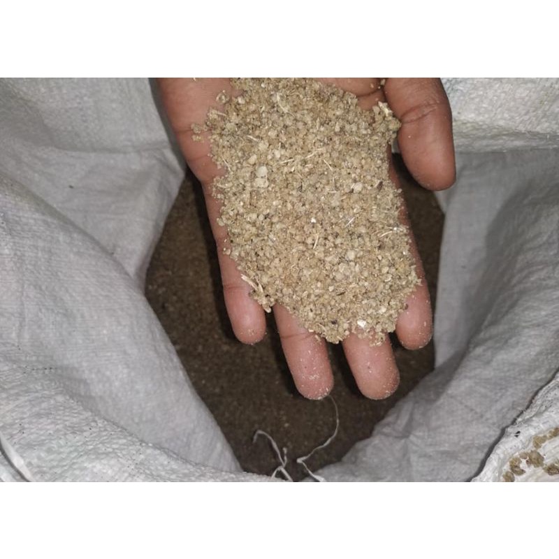 Harga Tiwol Terbaru Oktober 2022 |BigGo Indonesia