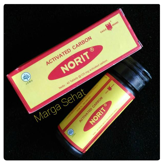 Jual NORIT/ ACTIVE CARBON/ DIARE/ PENYERAP RACUN | Shopee Indonesia