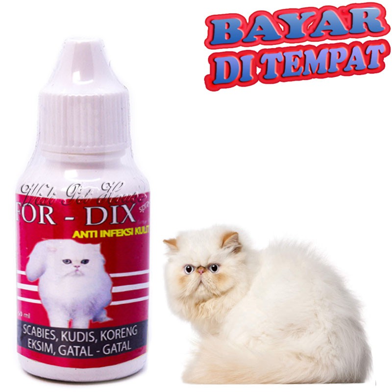 Jual OBAT KORENG KUCING FOR DIX OLES SAKIT INFEKSI KULIT LUKA JAMUR ...