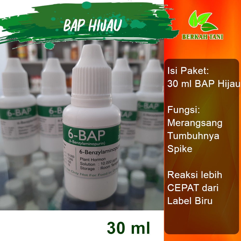 Jual BAP Hijau 30 ml Hormon Spike Bunga Anggrek | Shopee Indonesia
