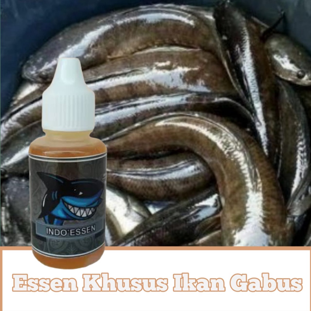Jual ESSEN Untuk Memancing ikan Gabus | Shopee Indonesia