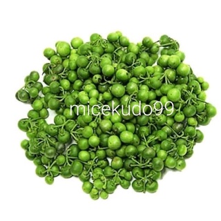 Jual LENCA LEUNCA LUENCA SEGAR SAYUR BUAH RANTI FRESH LALAPAN | Shopee ...