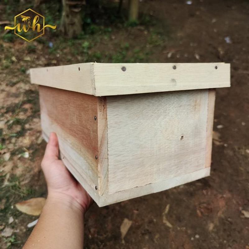 Jual stup kosong untuk lebah trigona | Shopee Indonesia