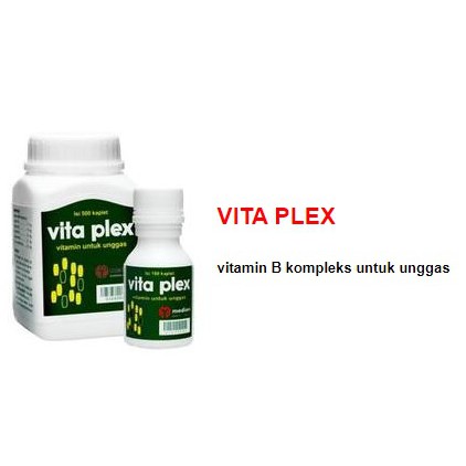 Jual VITAPLEX/VITA PLEX ISI 50 KAPLET VITAMIN B KOMPLEKS UNGGAS ...
