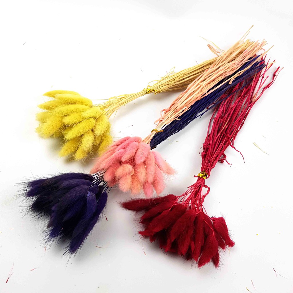 Jual Bunga Kering Warna 40 cm 30pc/ikat / Bunga Dekorasi/ Pampas ...