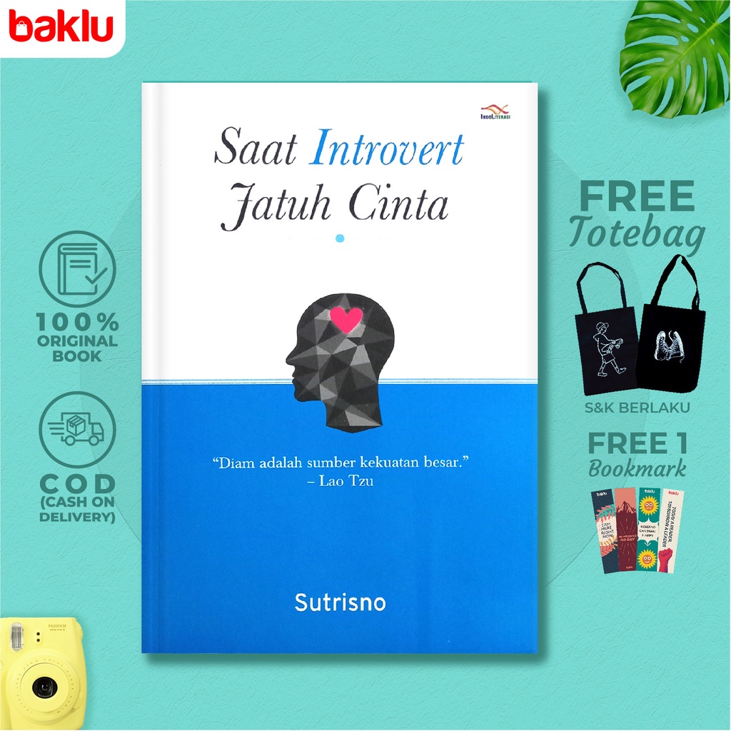 Jual Buku Saat Introvert Jatuh Cinta - Indoliterasi | Shopee Indonesia