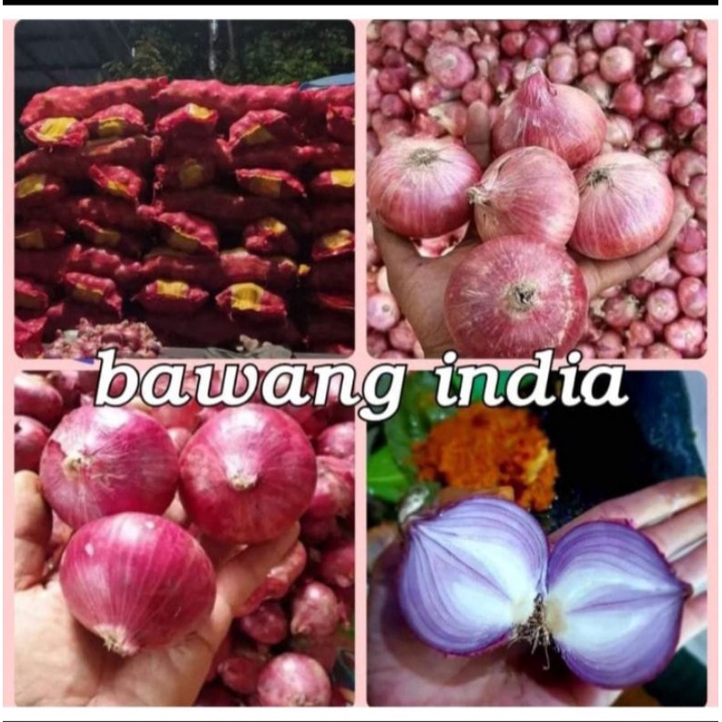 Jual Bawang merah india 1 kg | Shopee Indonesia