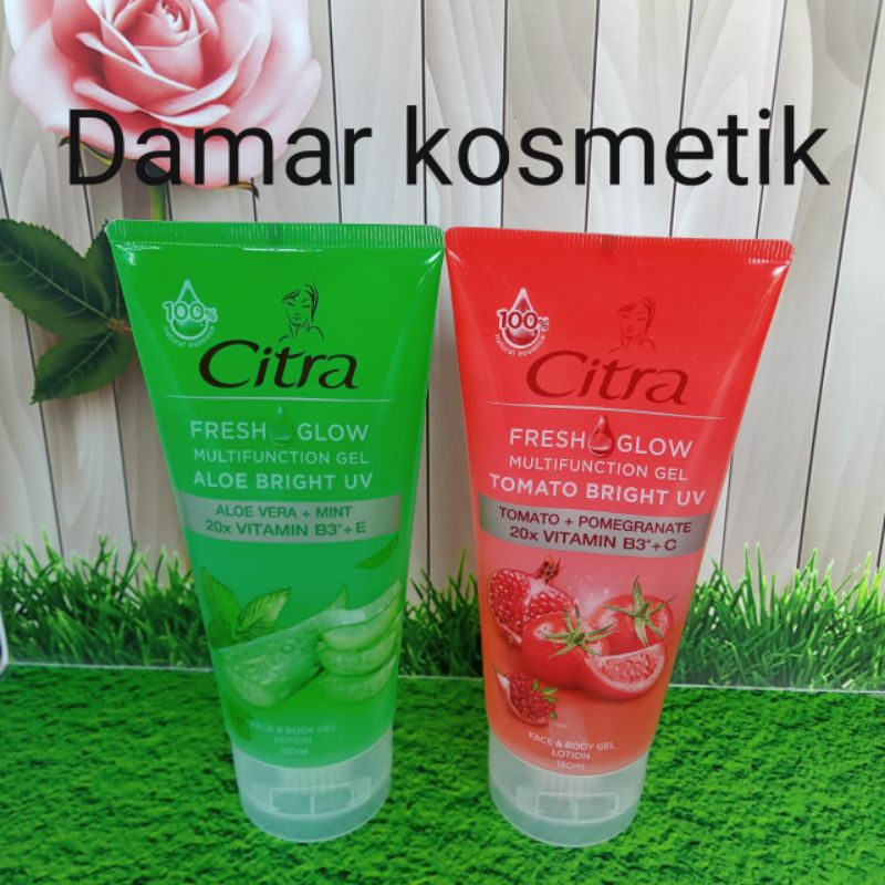 Jual CITRA FRESH GLOW MULTIFUNCATION GEL CITRA ALOE VERA 180ml citra ...